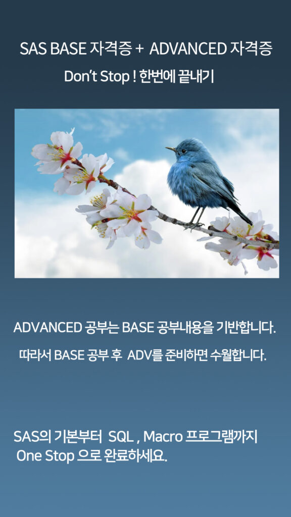 SAS BASE + ADVANCED 통합 강좌 – 쏭즈캠퍼스